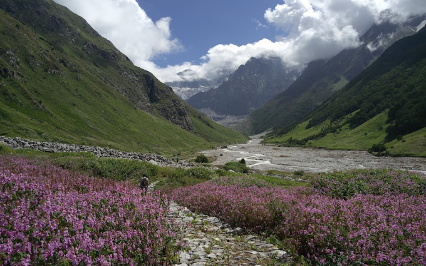 Top 10 Must-Do Treks in the Indian Himalayas – Stay Trekking Cougars
